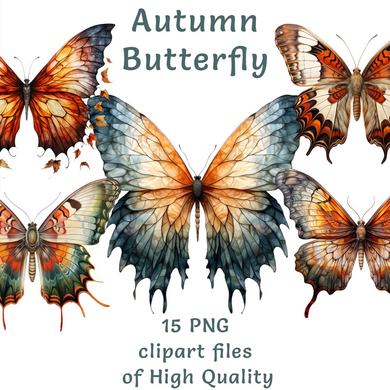 Autumn Butterfly - Etsy