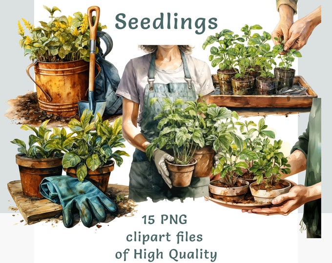 Watercolor Sprout to Life Clipart, Plant Growth Process Illustrations ...