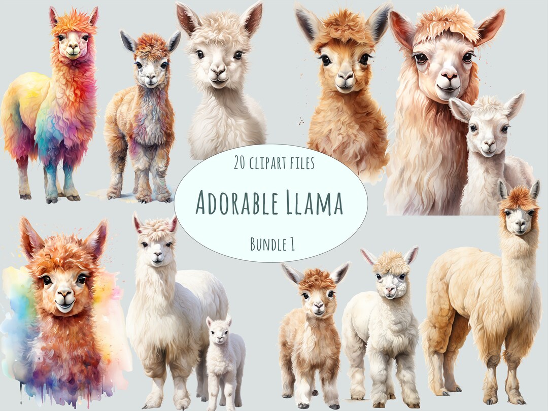 Llama Clipart | 20 PNG Files | Watercolor Alpaca Digital Bundle ...