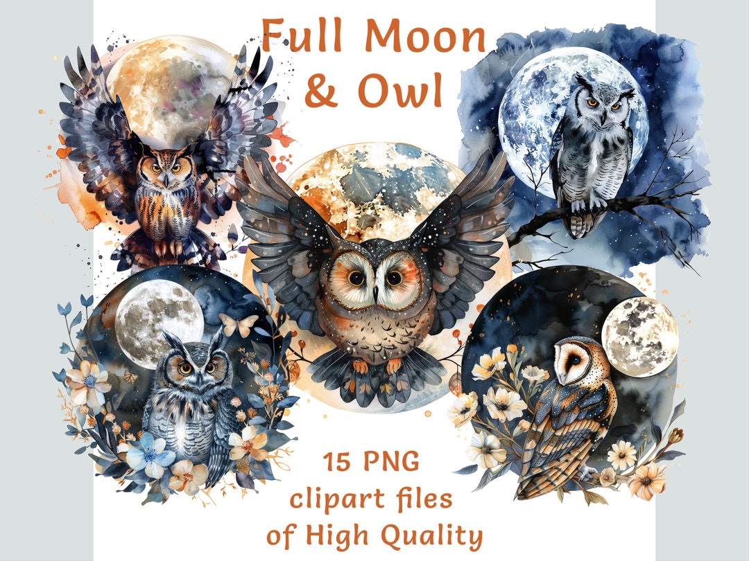 Moon Owl Clipart 15 Watercolor PNG Files for Commercial Use, Mystical ...