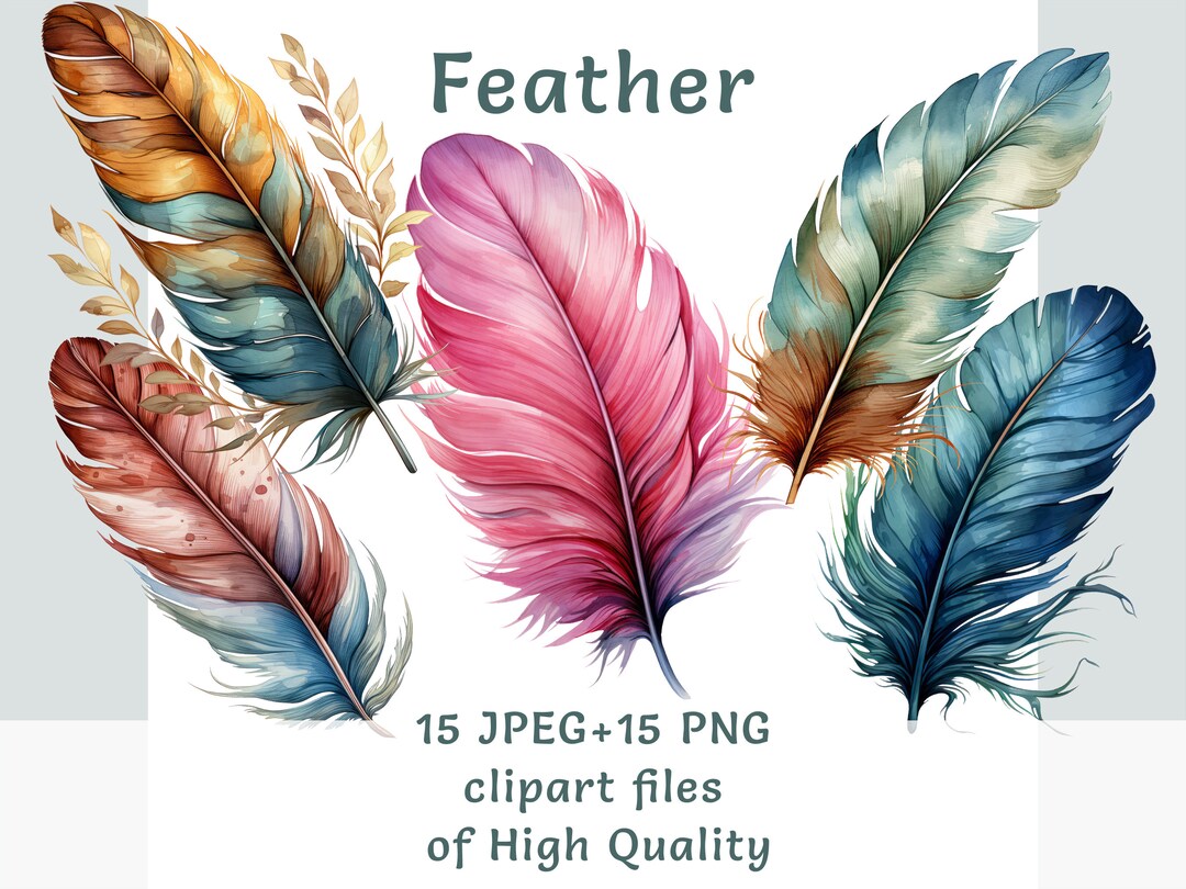 Feather Clipart Bundle - 15 Watercolor Digital Colorful PNG and JPEG Files for Commercial Use ...