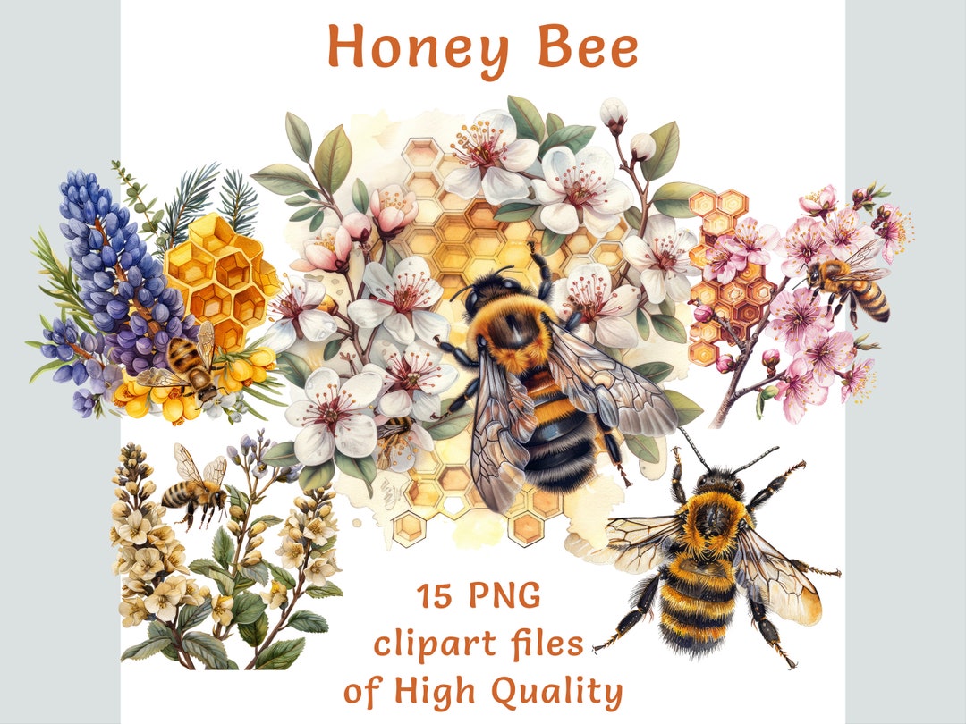 Honey Bee and Flowers Clipart - 15 Watercolor PNG, Commercial Use ...