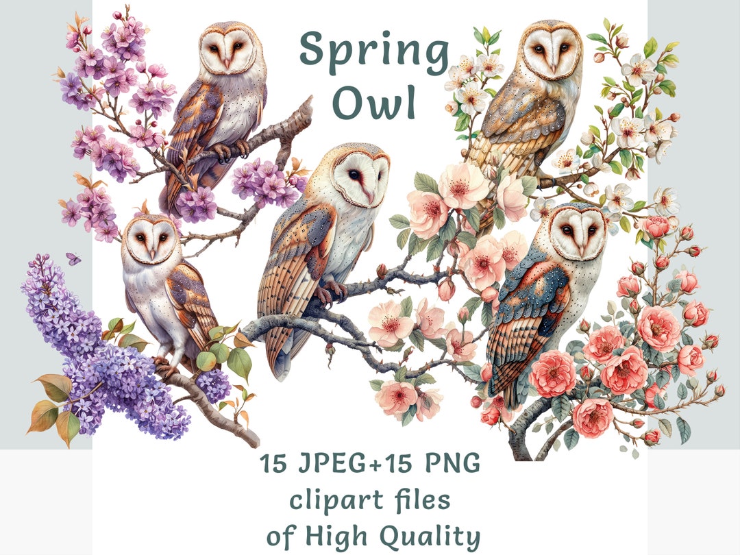 Snow Owl Clipart Watercolor Spring Scene With Blooming Tree, 15 PNG ...