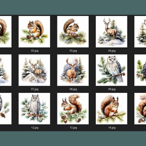 Winter Forest Animal Clipart | 15 PNG & JPEG Woodland Snowy Wildlife ...