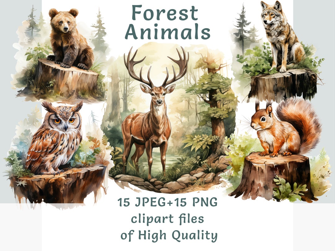 Watercolor Forest Animal Clipart, 15 High Quality PNG and JPEG ...