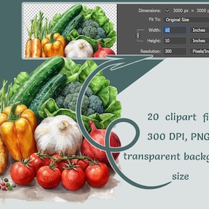 Vegetable Clipart Set, 20 Watercolor PNG, Commercial Use, Perfect for ...