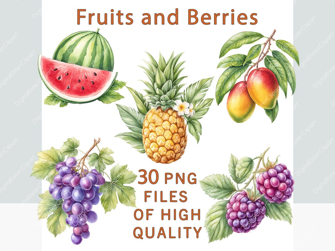 Fruits Clipart | Berries Clipart | 30 PNG Files | Watercolor Food ...
