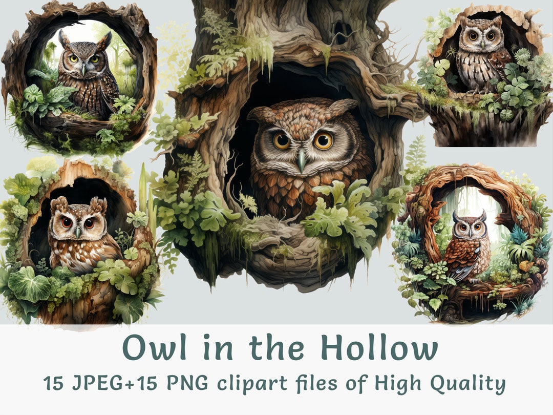 Watercolor Owl Clipart 15 High Quality PNG and JPEG Files Owl in Hollow ...