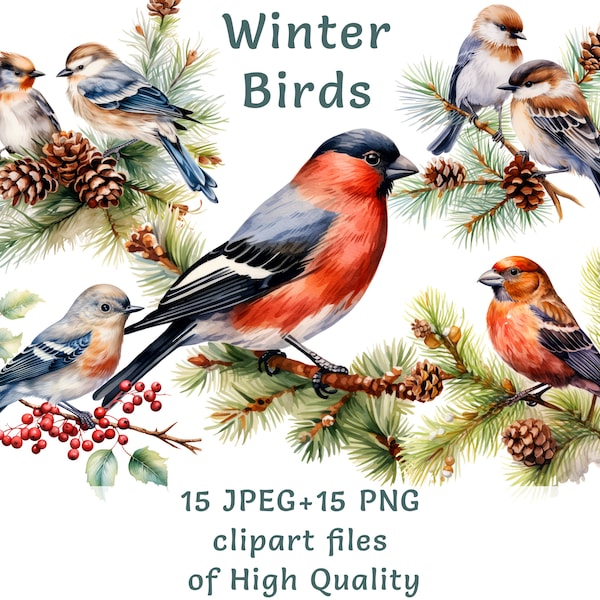 Winter Bird Art - Etsy