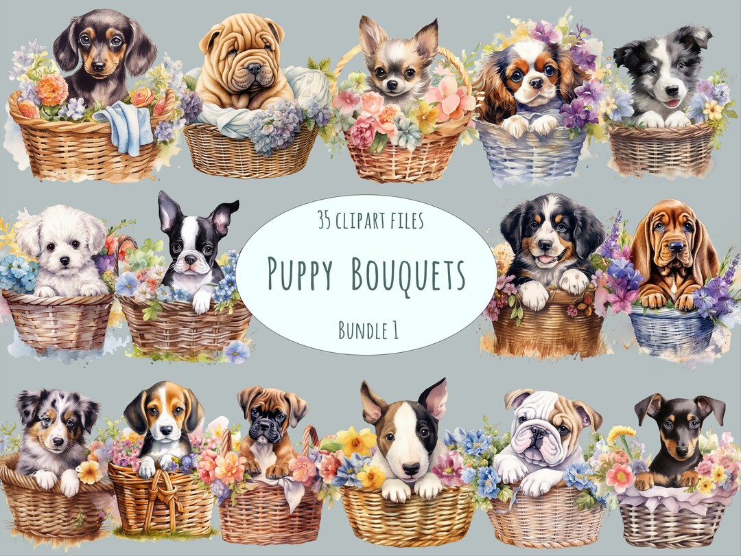 Dog Breed Clipart Bundle | 30 PNG Digital Download | Watercolor Puppies ...