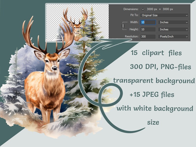 Winter Forest Animal Clipart | 15 PNG & JPEG Woodland Snowy Wildlife ...