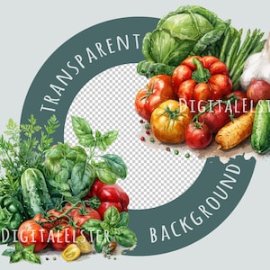 Vegetable Clipart Set, 20 Watercolor PNG, Commercial Use, Perfect for ...