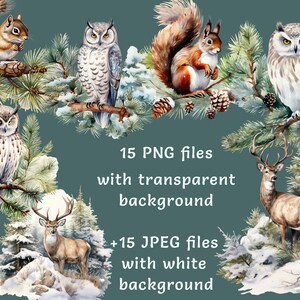 Winter Forest Animal Clipart | 15 PNG & JPEG Woodland Snowy Wildlife ...