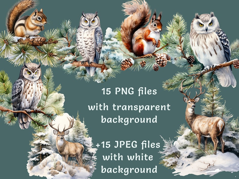 Winter Forest Animal Clipart | 15 PNG & JPEG Woodland Snowy Wildlife ...