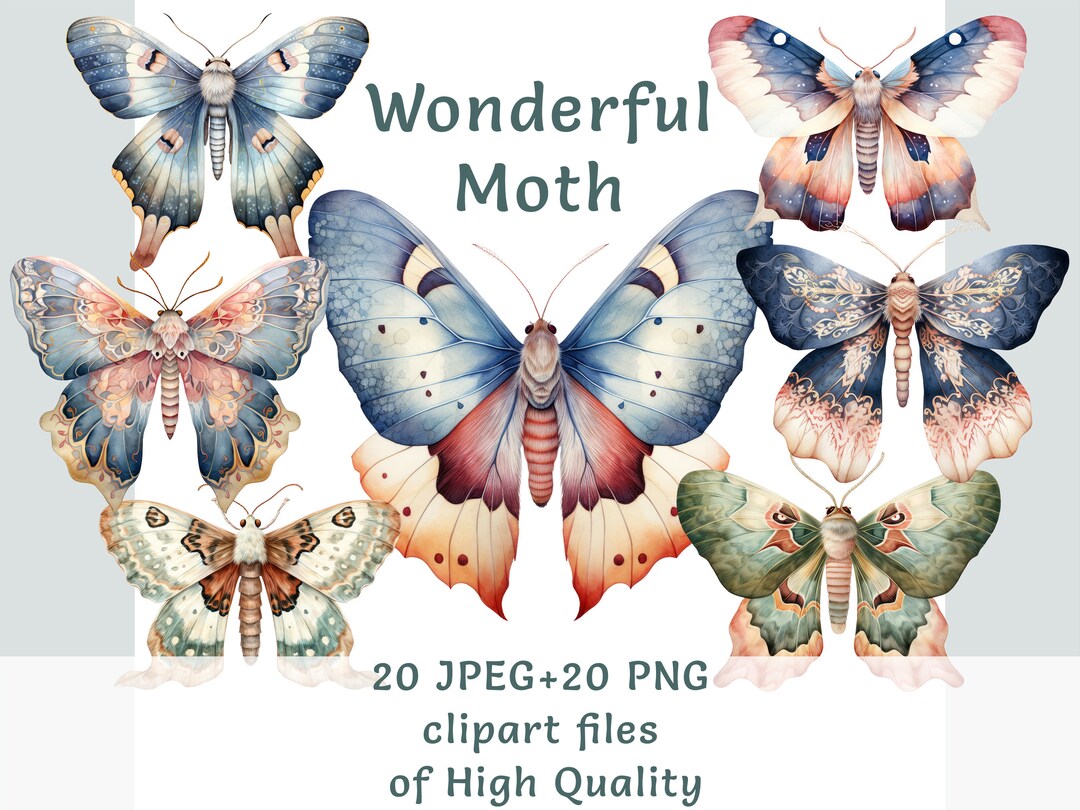 Moth and Butterfly Watercolor Clipart, 20 PNG/JPEG Files for Commercial ...