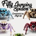 50 Colorful Jumping Spider PNG Clipart, Watercolor Spider Clip Art ...