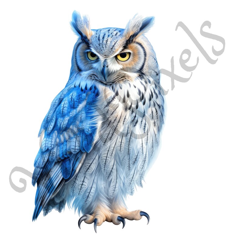 70 Colorful Furry Owls PNG Clipart, Watercolor Owls Clip Art, Cute ...