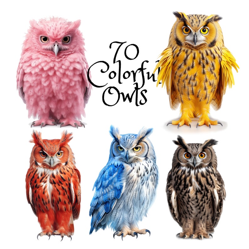 70 Colorful Furry Owls PNG Clipart, Watercolor Owls Clip Art, Cute ...