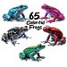 60 Colorful Frogs, Cute Frogs Clipart, Animals Frog PNG, Scarlet Frog ...