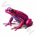 60 Colorful Frogs, Cute Frogs Clipart, Animals Frog PNG, Scarlet Frog ...