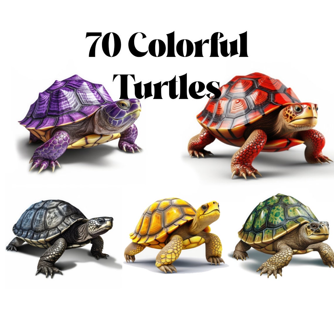 70 Colorful Turtles PNG Clipart, Watercolor Turtle Clip Art, Cute ...
