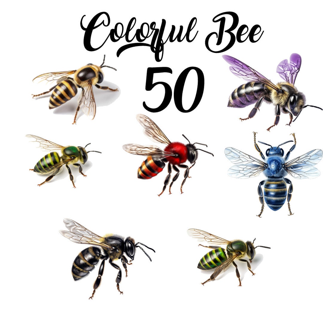 51 Realistic Honey Bee Clipart, Realistic Colorful Bee, Yellow Red ...