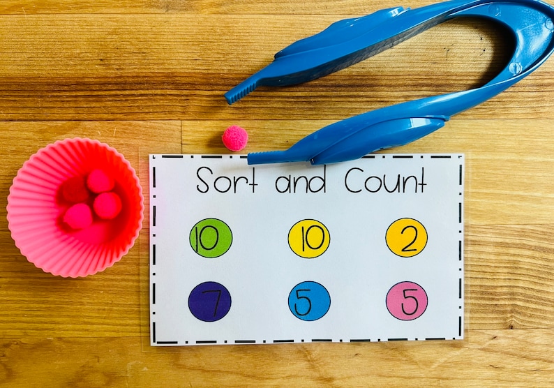 Color Sorting Task Box: Preschool Fine Motor Activity - Etsy