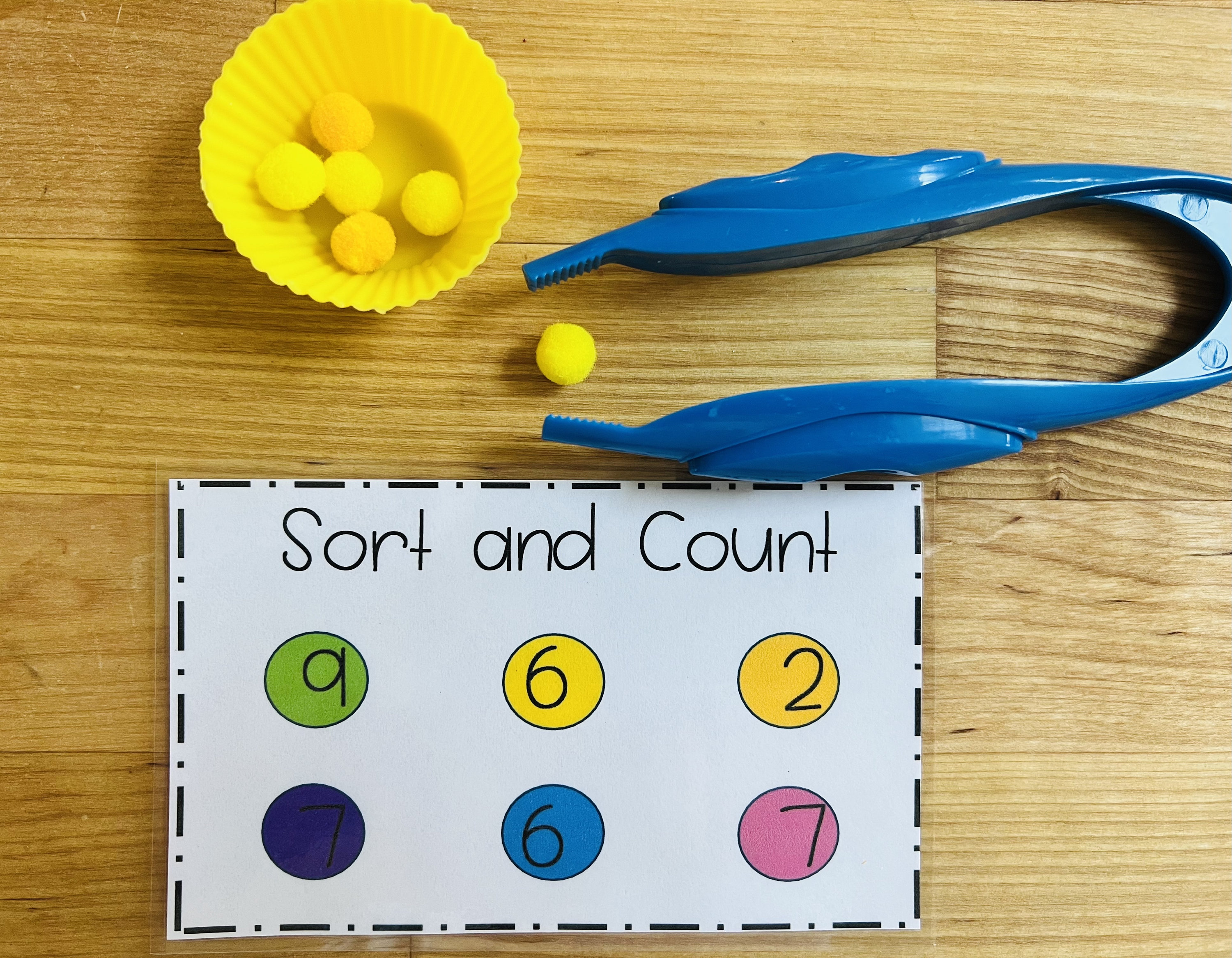 Color Sorting Task Box: Preschool Fine Motor Activity - Etsy