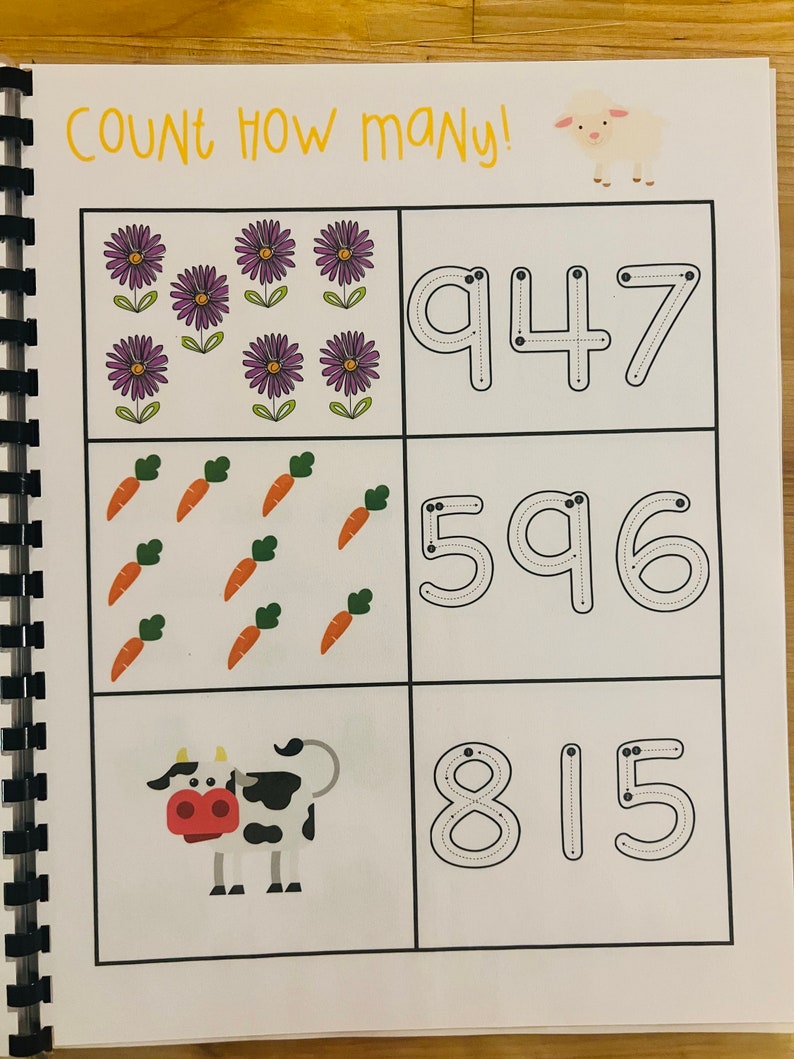 Farm Theme Pre-k Busy Book: Laminated Toddler Activity Binder - Etsy