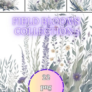 22 Field Blooms Clipart, Commercial Use, Png, Floral Clipart, Spring ...