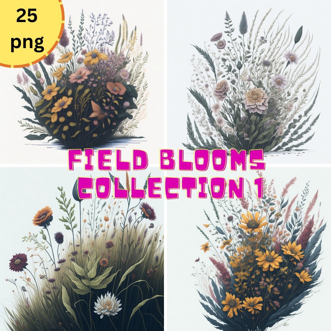 25 Field Blooms Clipart, Commercial Use, Png, Floral Clipart, Spring ...