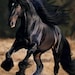Black Stallion Digital Art | Instant Download | Kids Gift Idea | Home ...