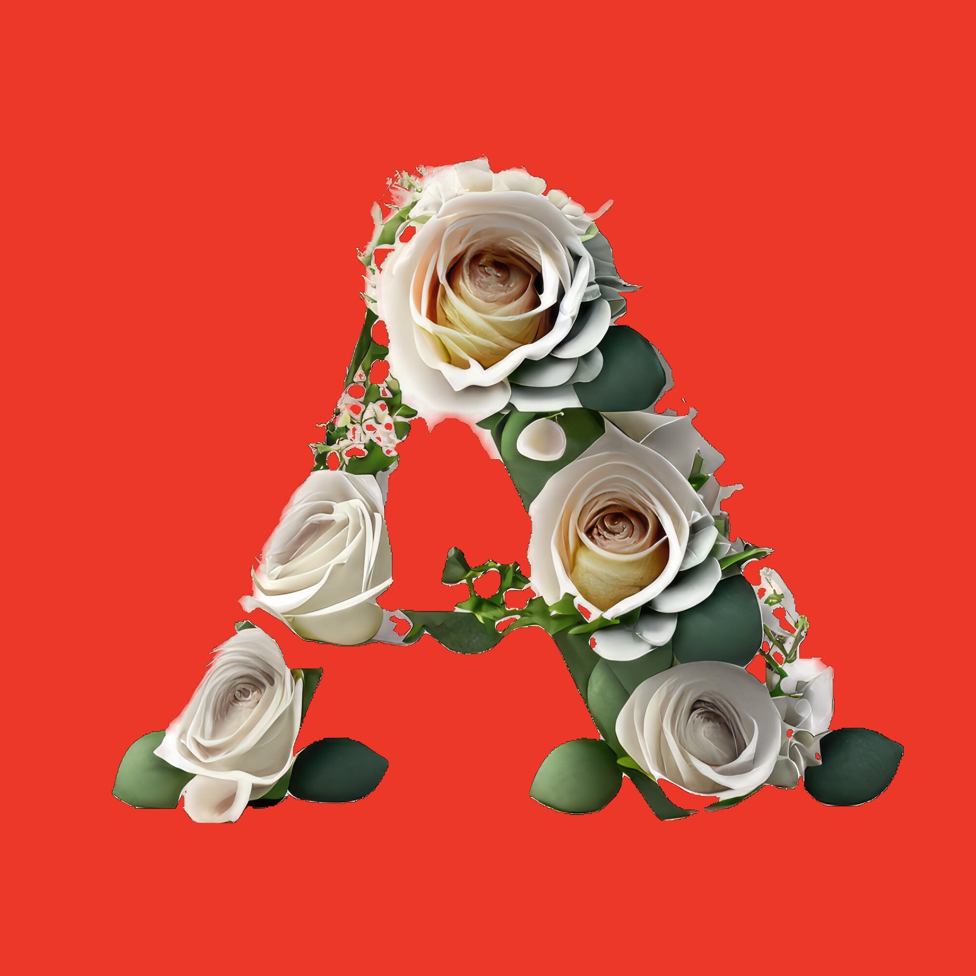 White Roses Letters PNG Numbers Set Wedding Bundle A-Z Alphabet - Ai ...