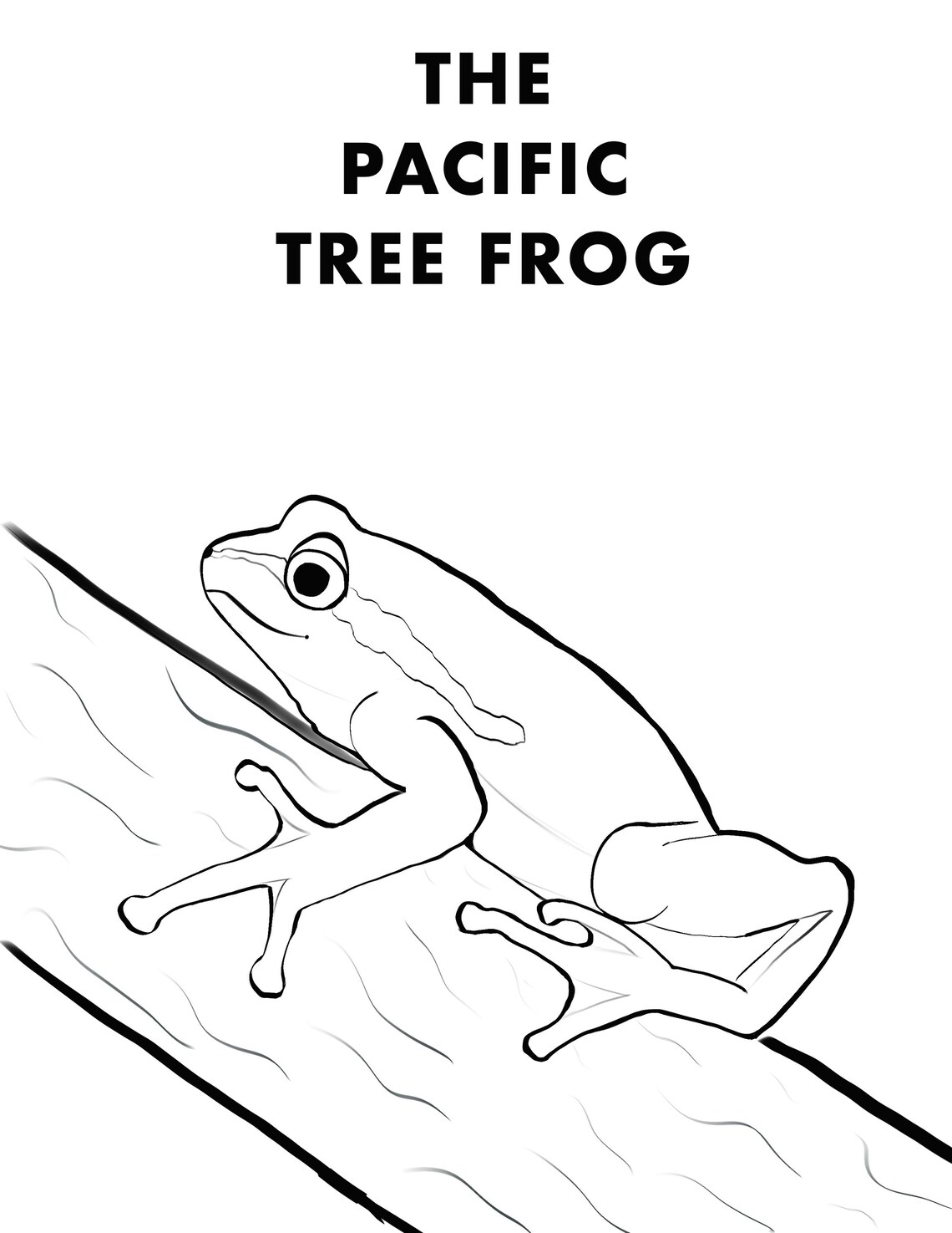 Animal Coloring Pages- Pacific Northwest - Etsy