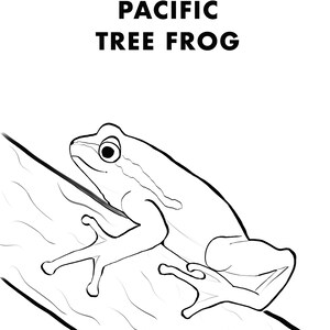Animal Coloring Pages- Pacific Northwest - Etsy