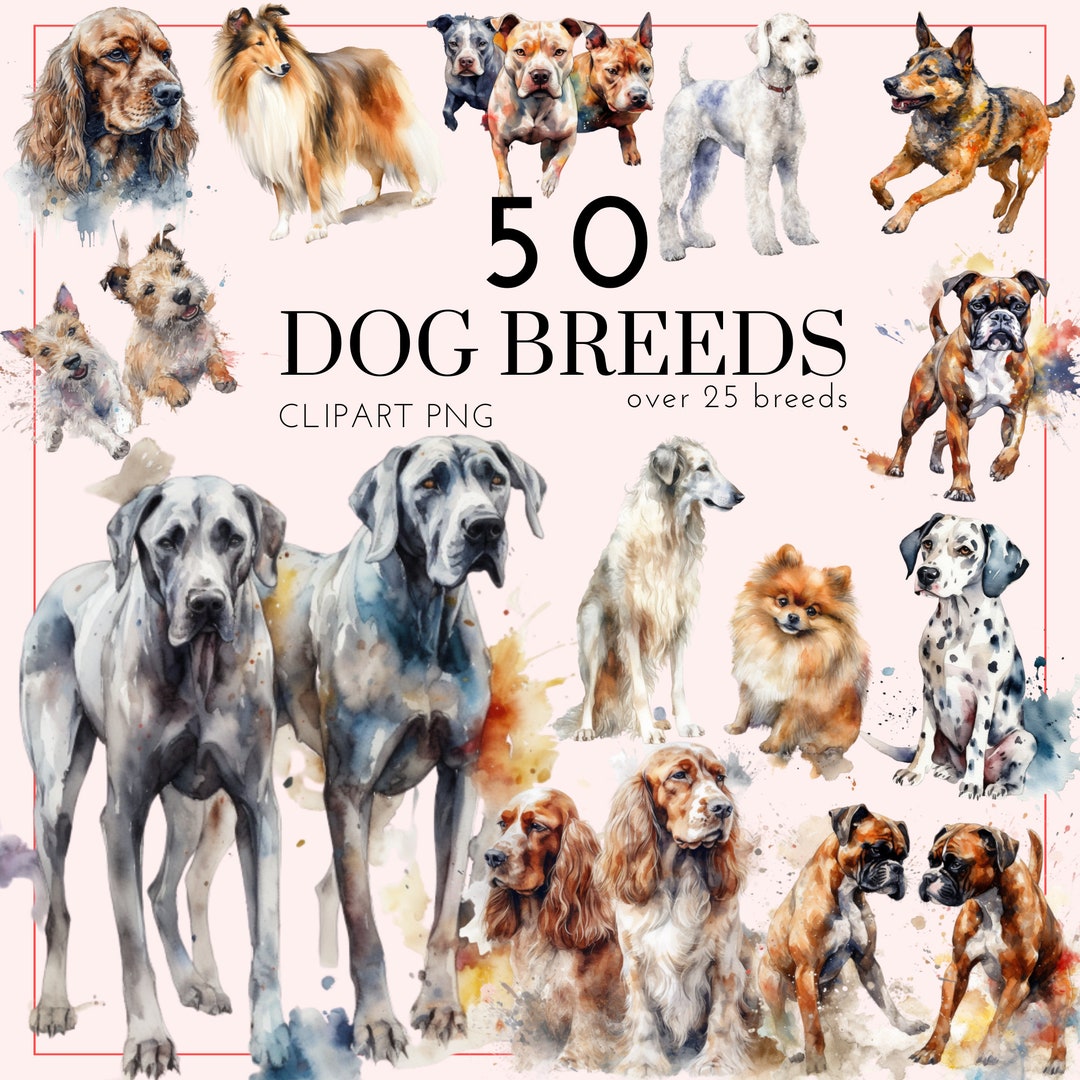 Pawsome Pals: 50 Watercolor Dog Breed Clipart Collection - A Colorful ...