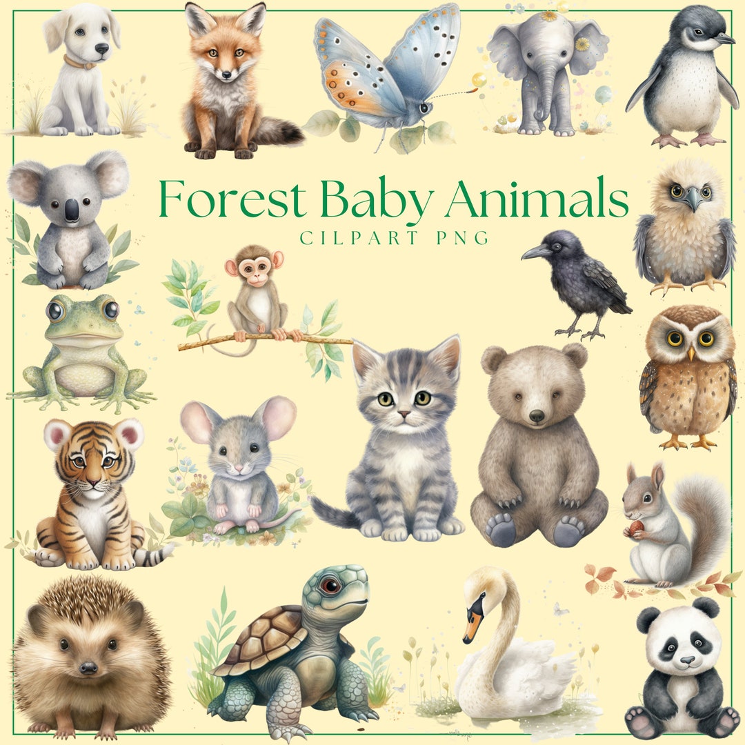 Charming Baby Animals Nursery Clipart Collection, 50 Forest Baby Animal ...