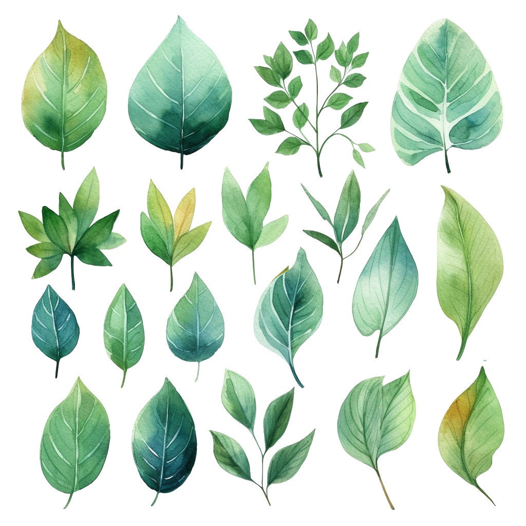 Green Watercolor Leaves Clip Art Wedding Clip Art Clipart Set 36 ...