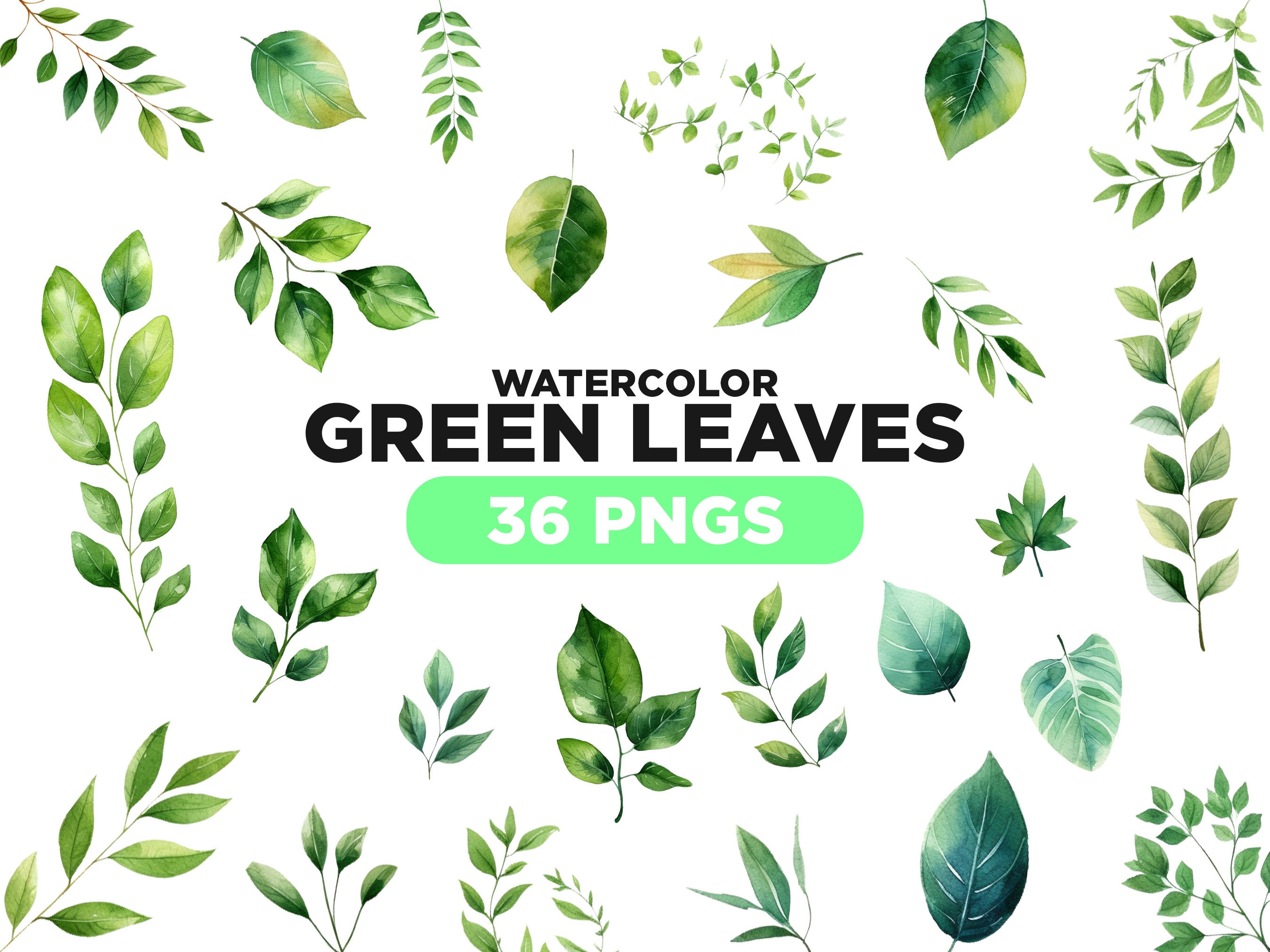 Green Watercolor Leaves Clip Art Wedding Clip Art Clipart Set - Etsy