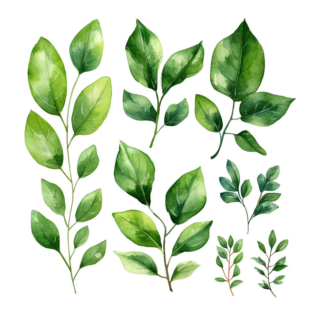 Green Watercolor Leaves Clip Art Wedding Clip Art Clipart Set 36 ...