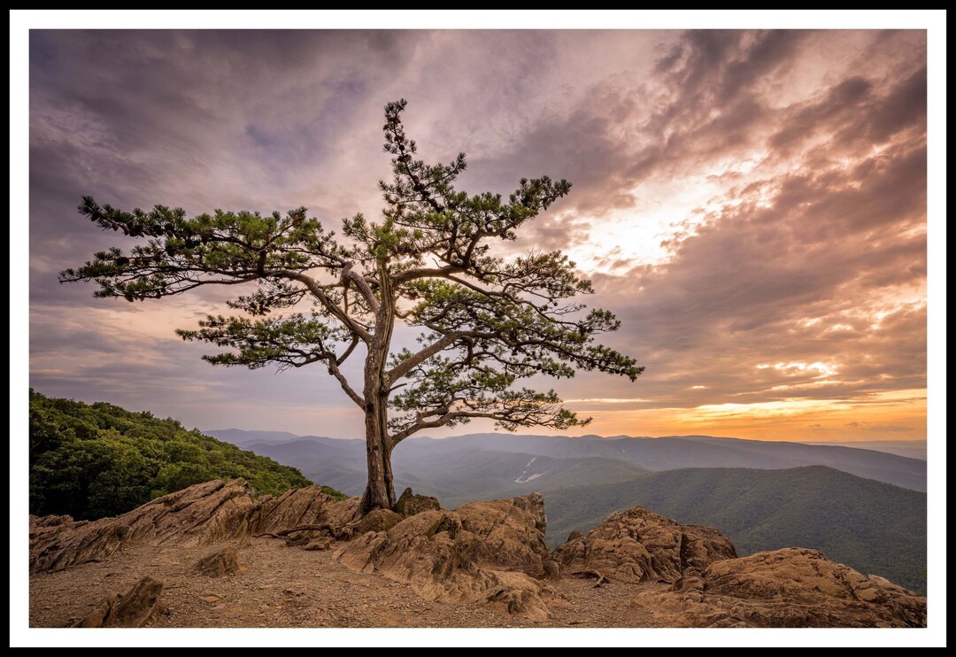Ravens Roost Overlook, Nature Photography - Etsy