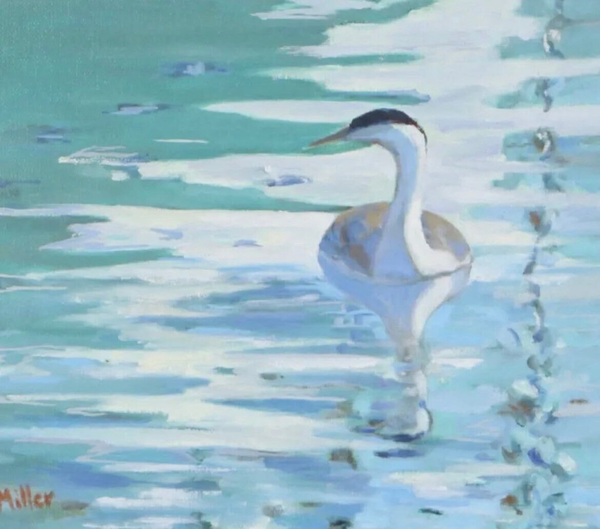 Debbie Miller Original Oil Painting western Grebe 14 X 11 - Etsy