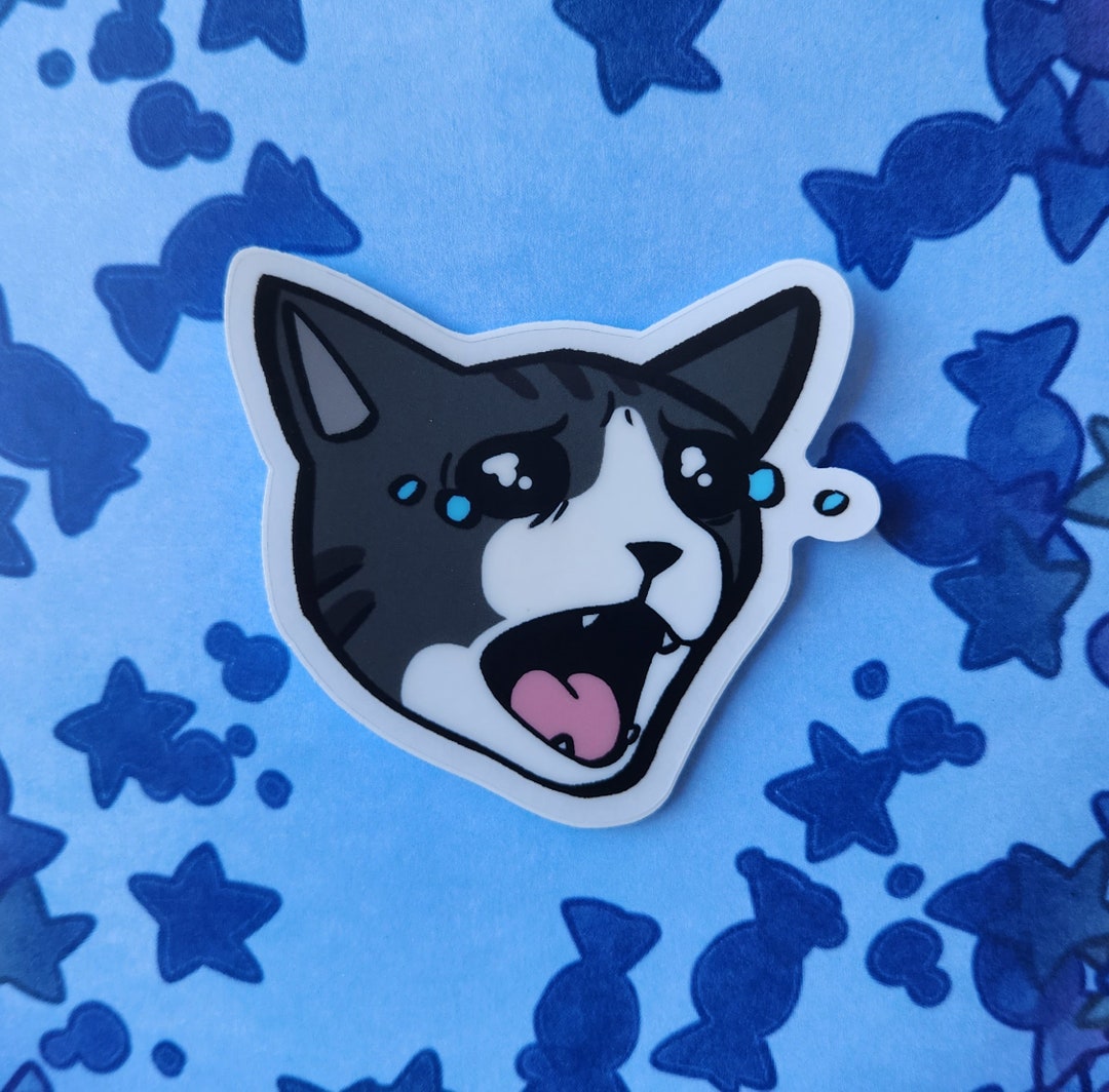 Cat Meme Sticker (crying Cat) - Etsy