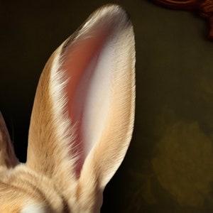 Majestic Royal Bunny Portrait Whimsical Rabbit Art on Canvas for Home ...