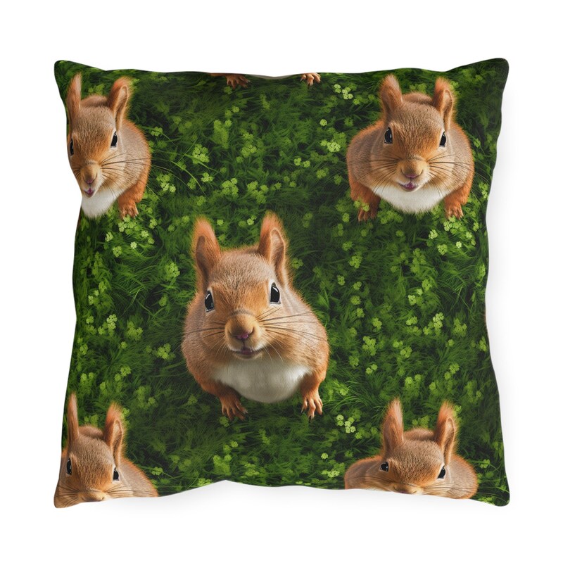 Squirrel Pillow - Etsy