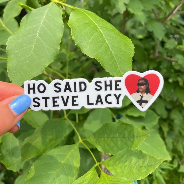 Steve Lacy Gemini Rights - Etsy