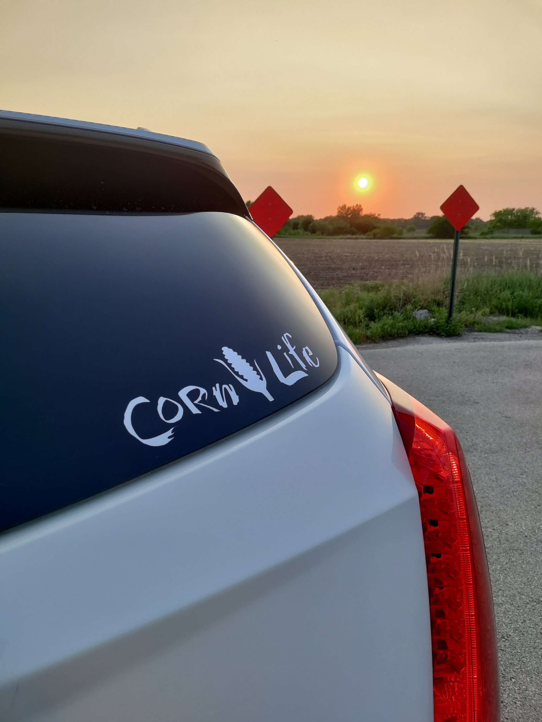 Corn Life Vinyl Sticker. - Etsy