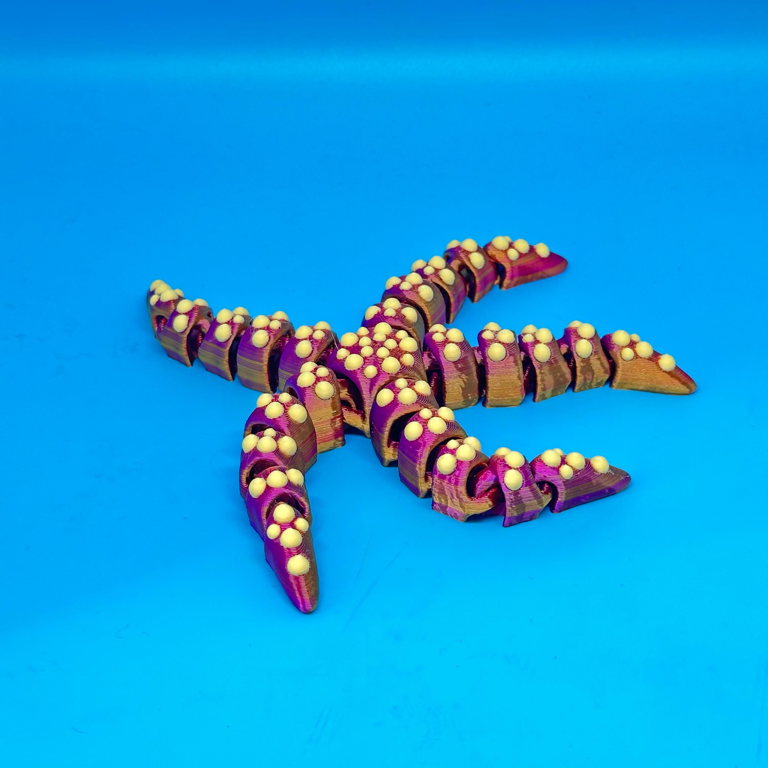 3D Printed Articulated Starfish, Tiny Starfish by Cinderwing3d, Fidget ...