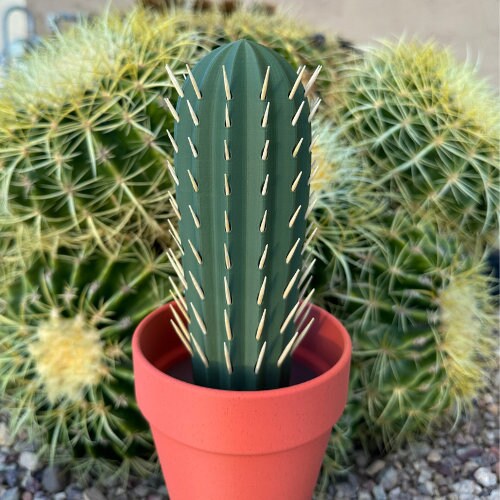 3D Printed Cactus Toothpick Holder - Spring Mechanism to Extend ...