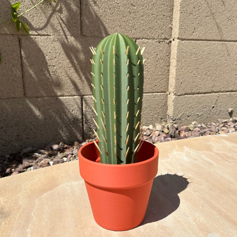 3D Printed Cactus Toothpick Holder - Spring Mechanism to Extend ...